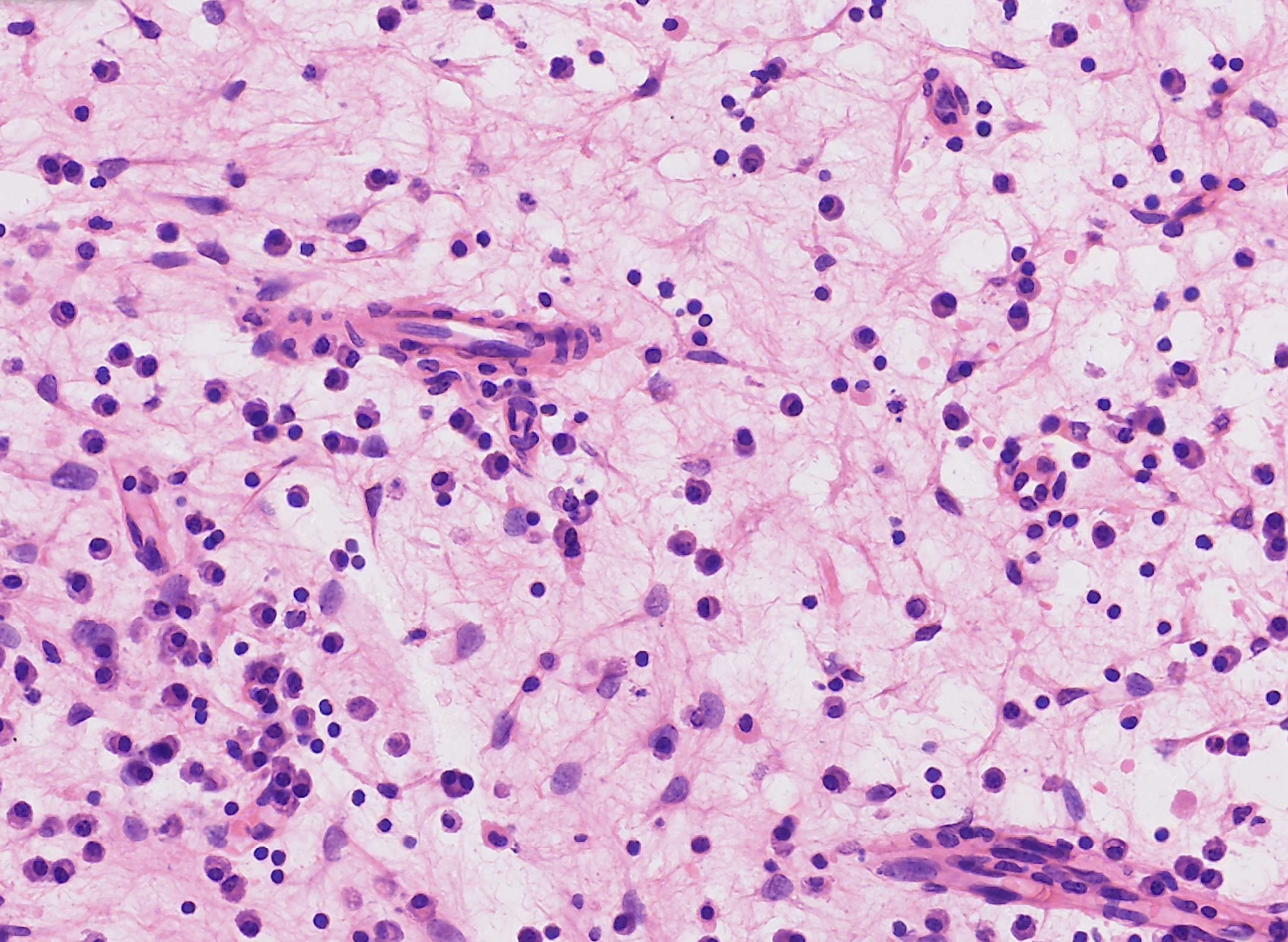 Pramana - True digital transformation for next-generation pathology