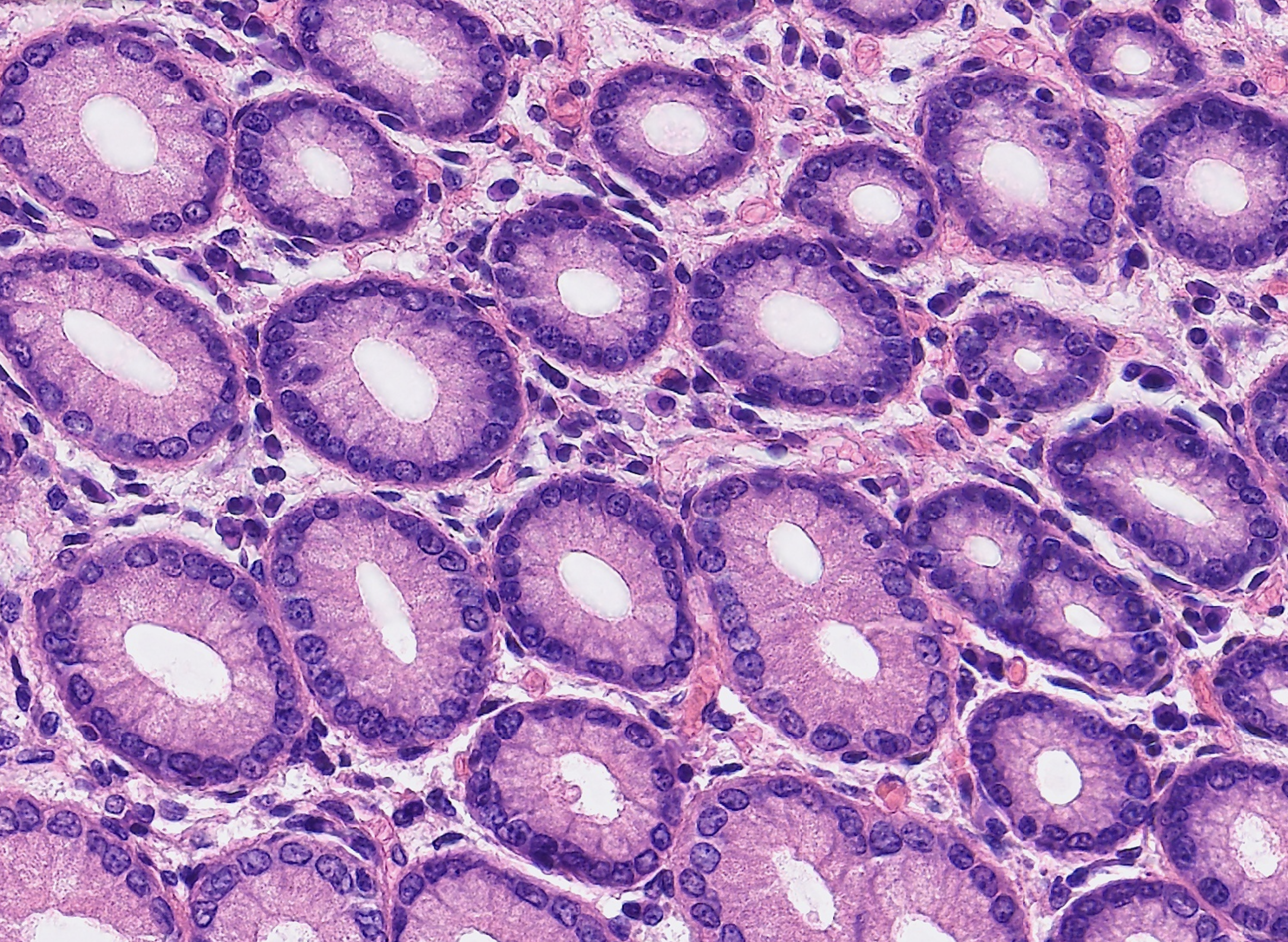 Pramana - True digital transformation for next-generation pathology